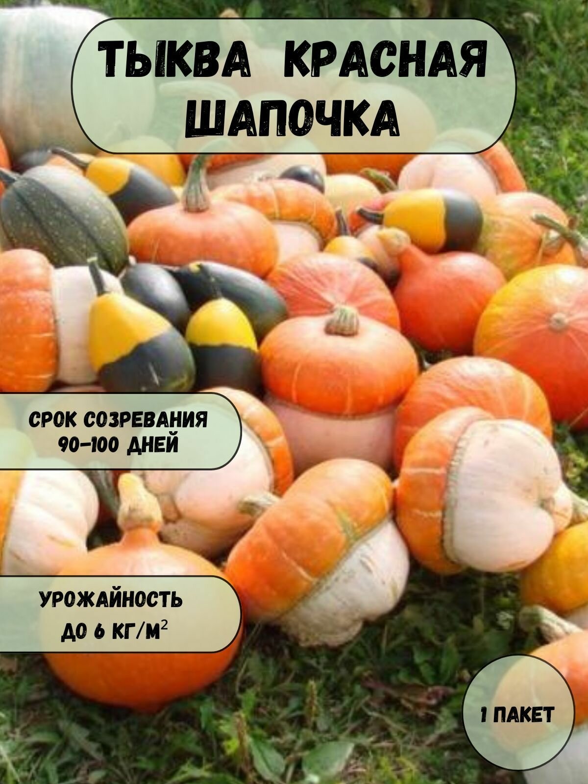 Тыква декоративная Красная шапочка семена 10 шт