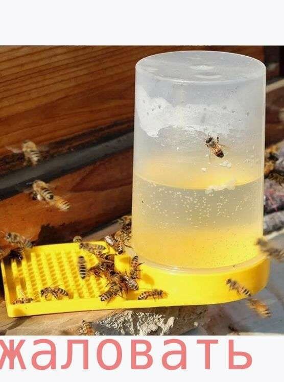 2 шт Пластиковая поилка для пчел, пчеловодная кормушка для питьевой воды