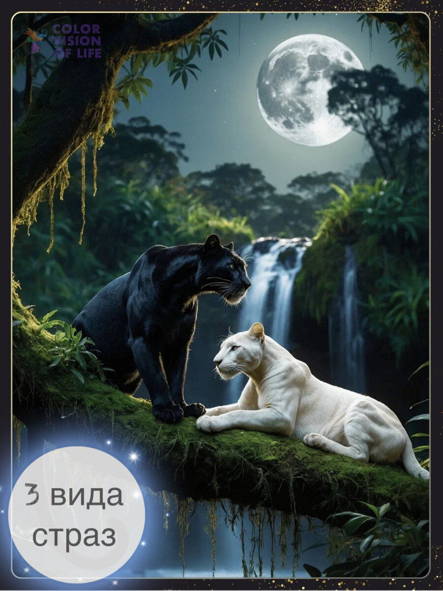 Алмазная мозаика COLOR VISION OF LIFE "Белый тигр и Черная Пантера", 40x50 см
