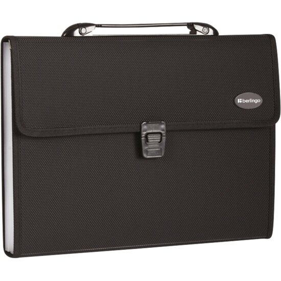 Папка-портфель Berlingo Standard А4 на 13 отделений, пластиковый, черный