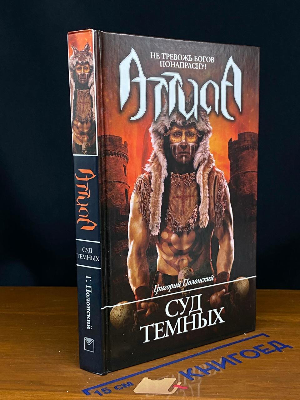 Книга. Суд темных 2011 (2041346039819)