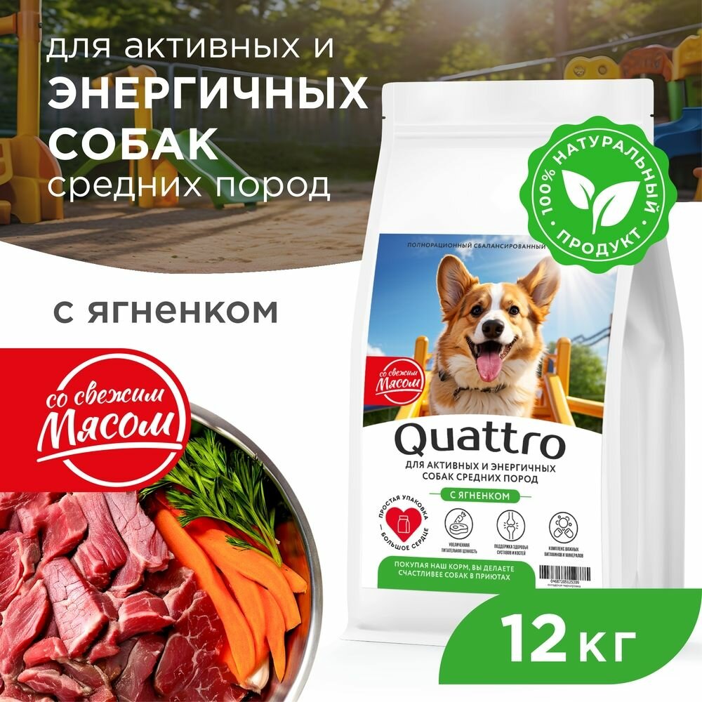 Quattro корм для взрослых собак средних пород, для активных и энергичных, с ягненком 12 кг