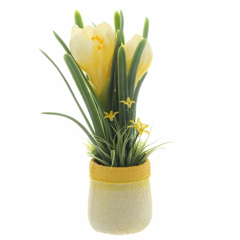 Цветочная композиция "Крокусы", 12х10х22 см