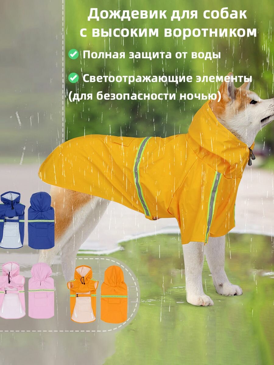 Одежда для животных — фото 1