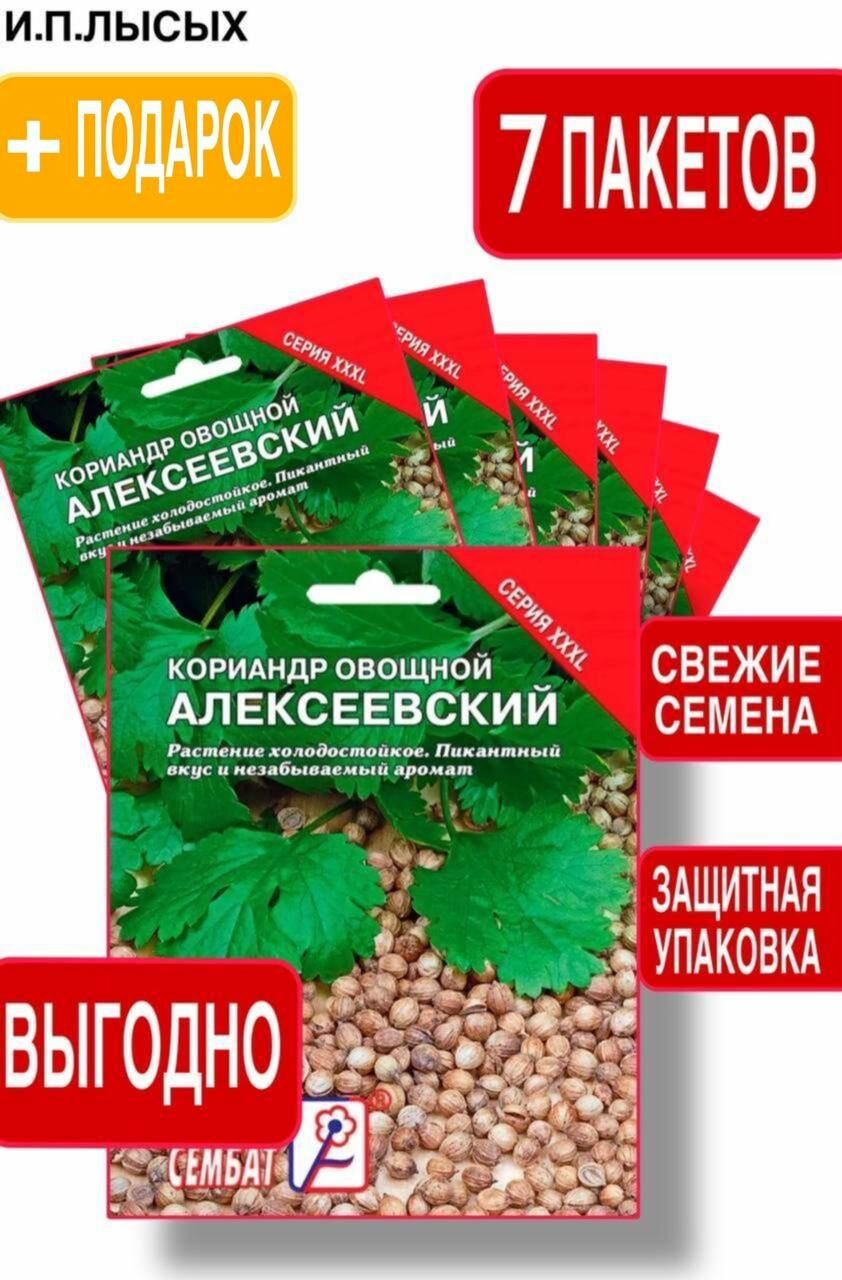 Семена Кориандр Алексеевский 7 шт