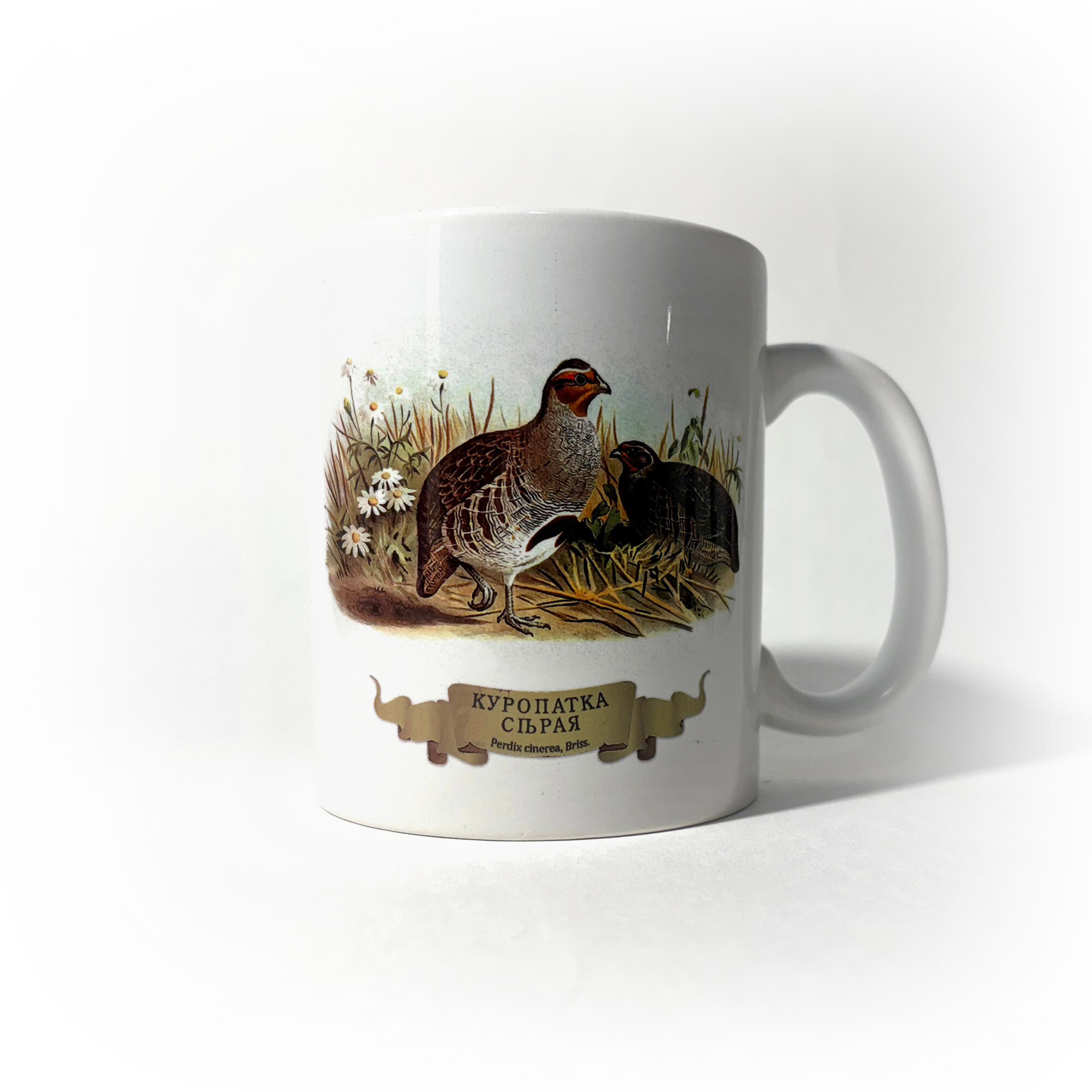 Декоративная кружка с изображением куропатки серой исп.1к
