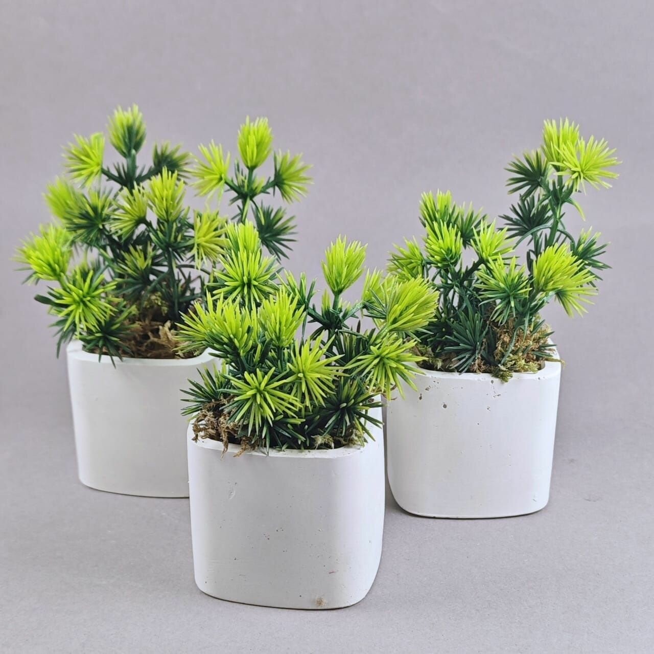 Композиция "Бонсай мини", ручная авторская работа, комплект из 3-х горшочков (квадрат)