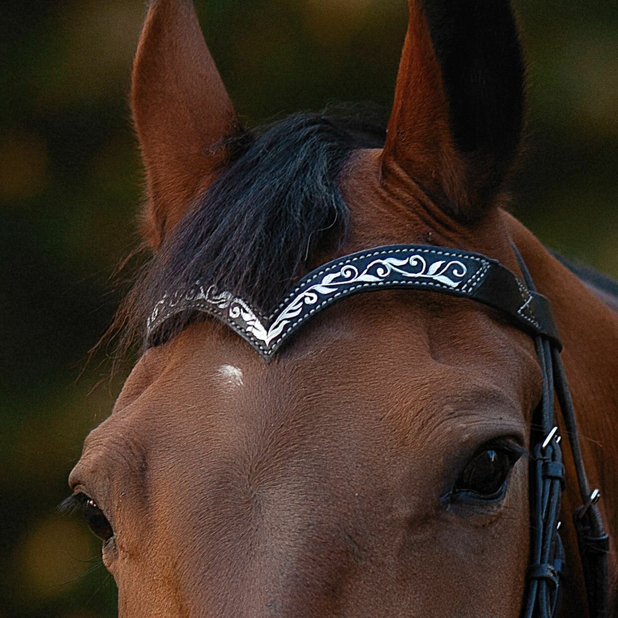 Налобник для лошади кожаный с росписью