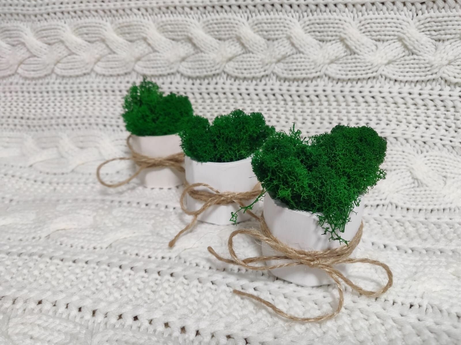 Кашпо со стабилизированным мхом ягель 3 шт