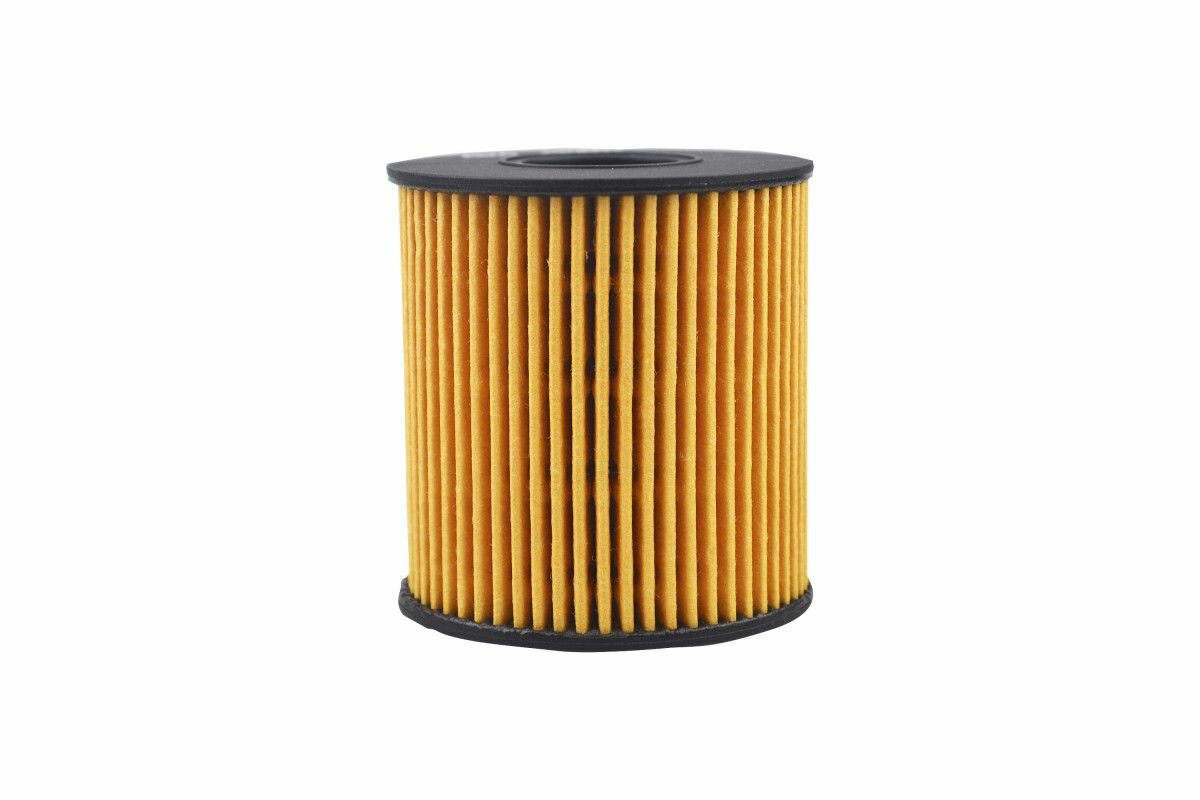 Фильтр масляный CITROEN, PEUGEOT, FIAT, FORD, LAND ROVER, MINI, VOLVO (2007- )