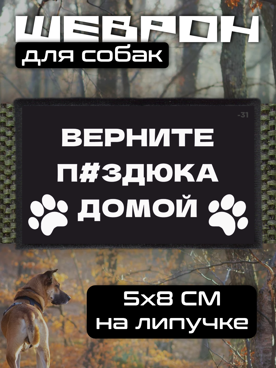 Шеврон на липучке для собак Верните п#здюка домой