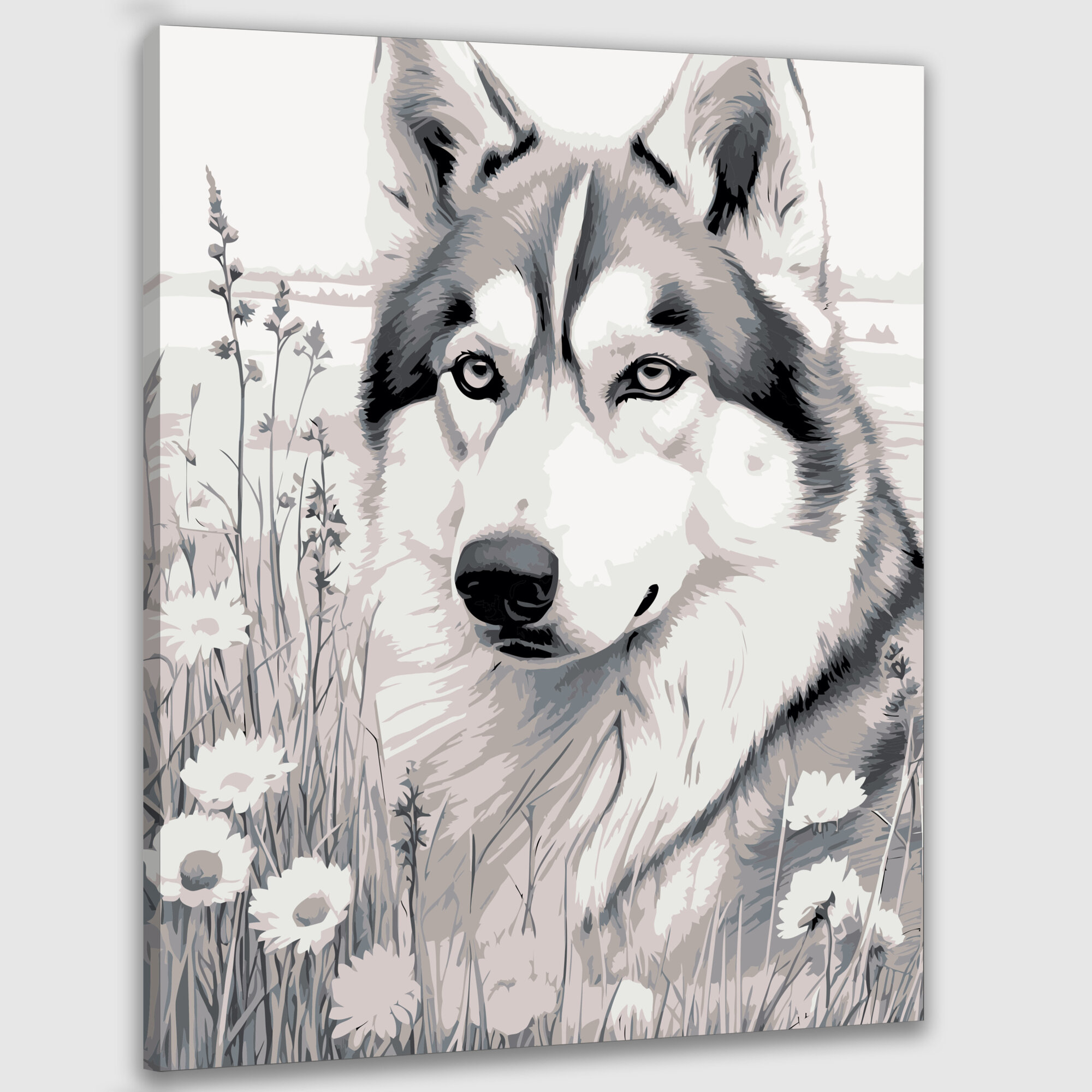 Картина по номерам 40x50 см, карандашный набросок, хаски, поле полевых цветов, нежный характер, спокойный характер