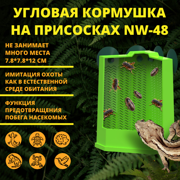 Угловая кормушка на присосках NW-48 для амфибий, рептилий, птиц, ежей (7.8*7.8*12 см)