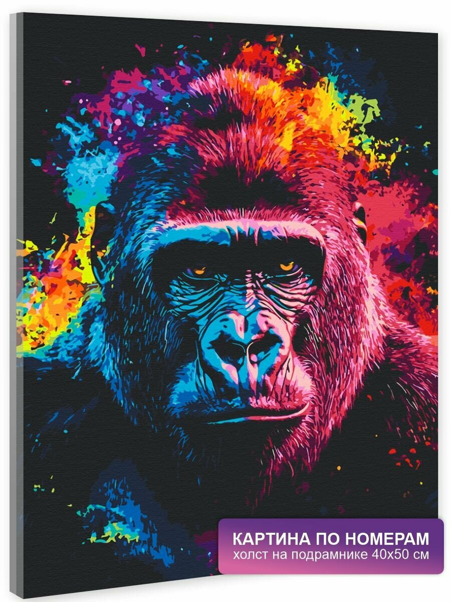 Картина по номерам на холсте с подрамником 40х50 см. Природа, животные, рыбы, птицы. "Обезьяна. Горилла. Шимпанзе", арт. 7412/