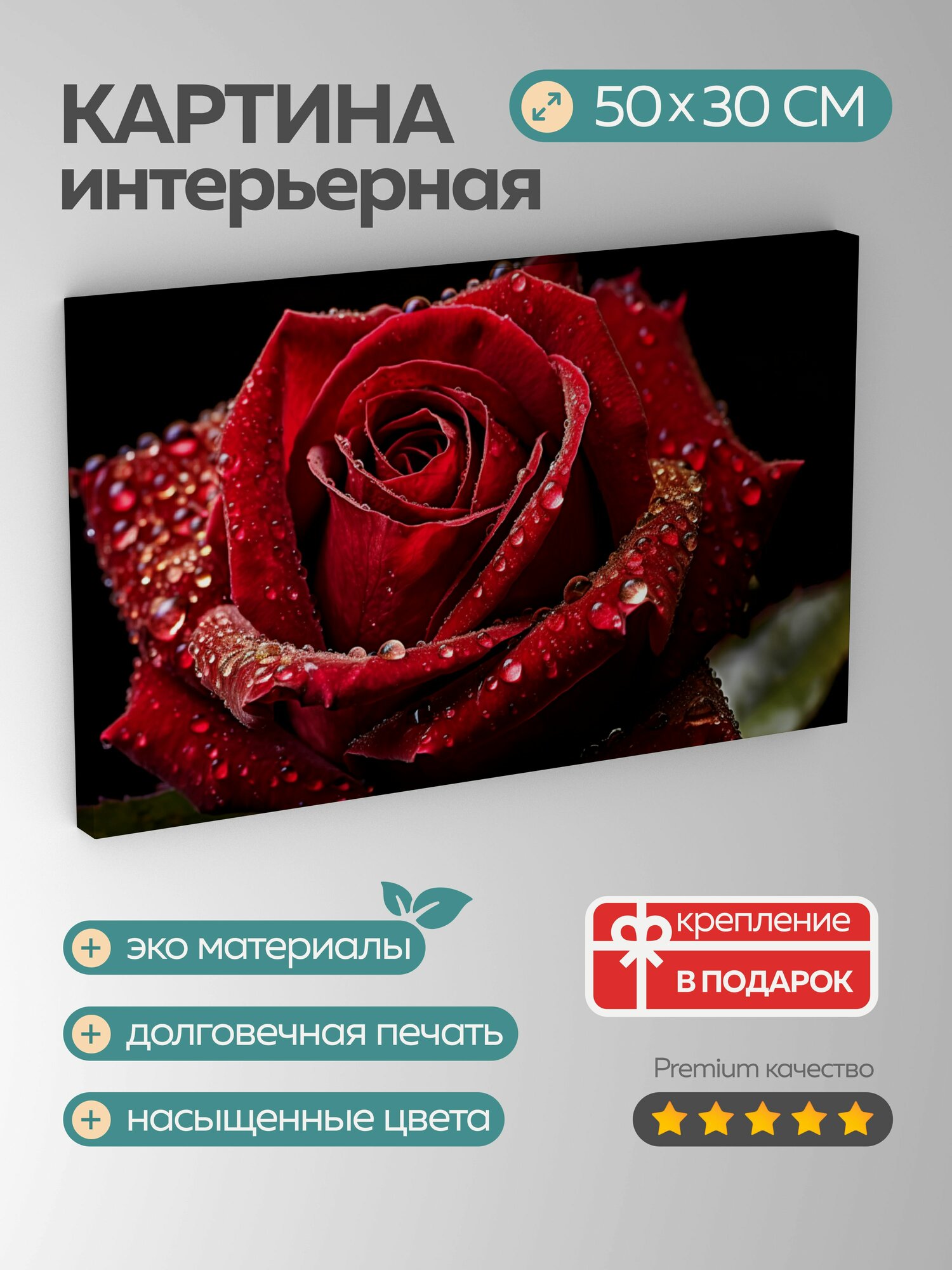 Картина на холсте интерьерная 50х30 см, красная роза, золотистая роса, мельчайшие детали, насыщенный цвет, темный фон