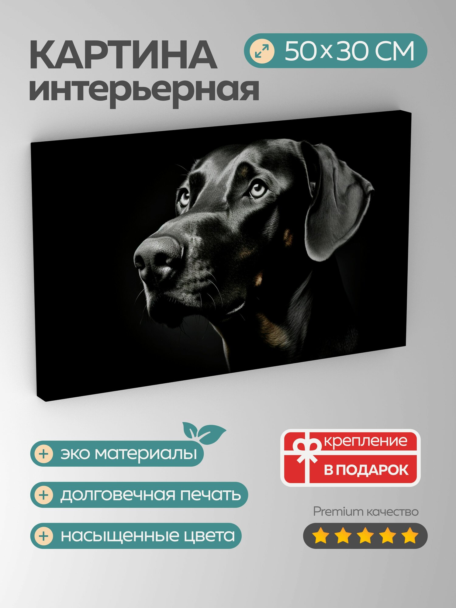 Картина на холсте интерьерная 50х30 см, черно-белая фотография, охотник, доберман, неподвижность, ожидание, настороже