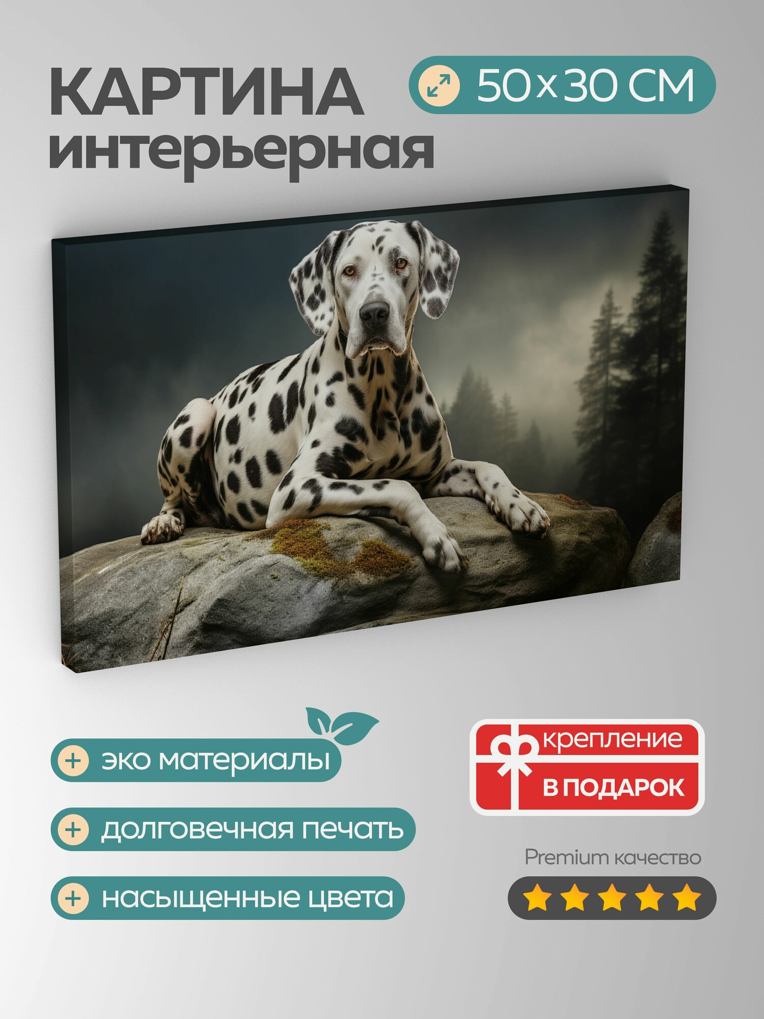 Картина на холсте интерьерная 50х30 см, дальматин, скала, шерсть, пятна, уверенность, грация, фон, глубина, размерность