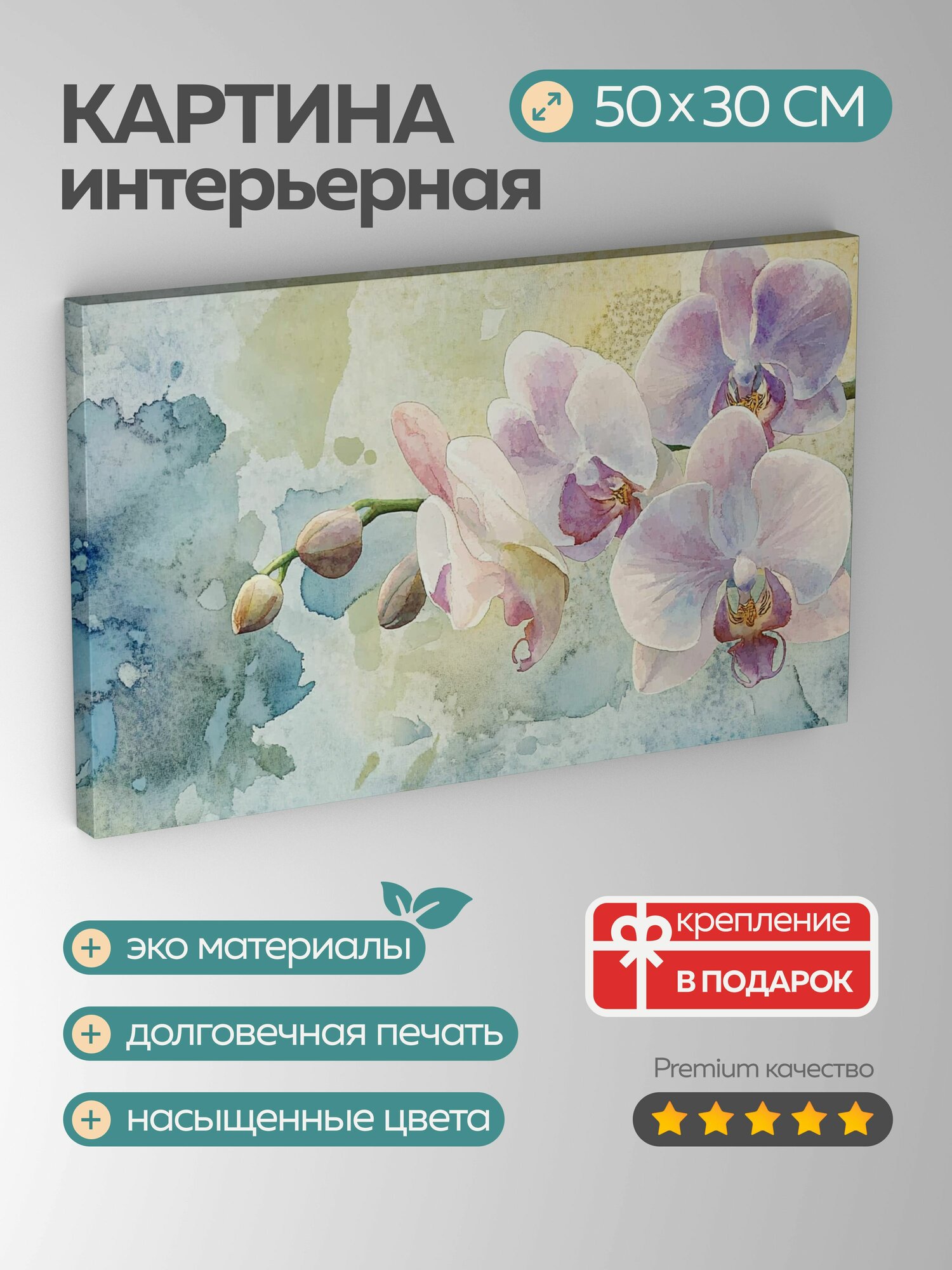 Картина на холсте интерьерная 50х30 см, орхидея, акварельная иллюстрация, грациозные лепестки, пастельные оттенки