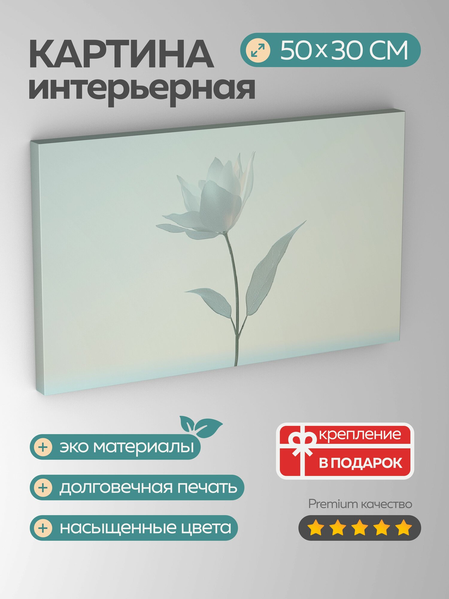 Картина на холсте интерьерная 50х30 см, нежный цветок, элегантная композиция, минимализм, простой фон, красота простоты