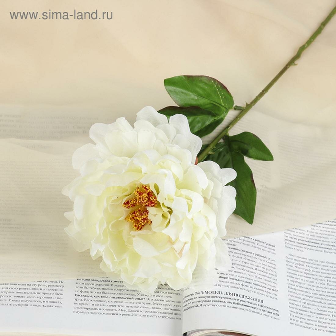 Цветы искусственные Poetry in flowers "Пион бархатный" 15х55 см, белый