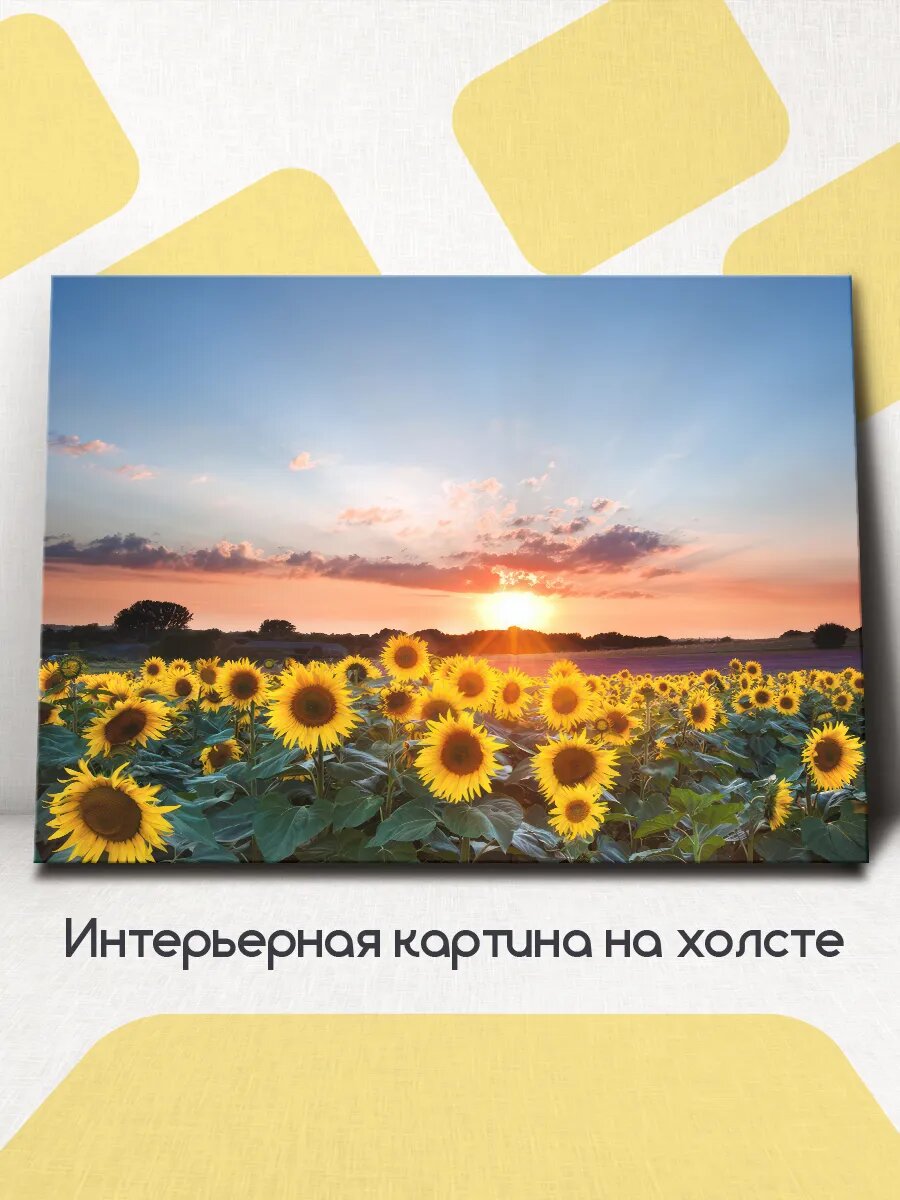 Картина на стену интерьерная Поле подсолнухов 40x30 см