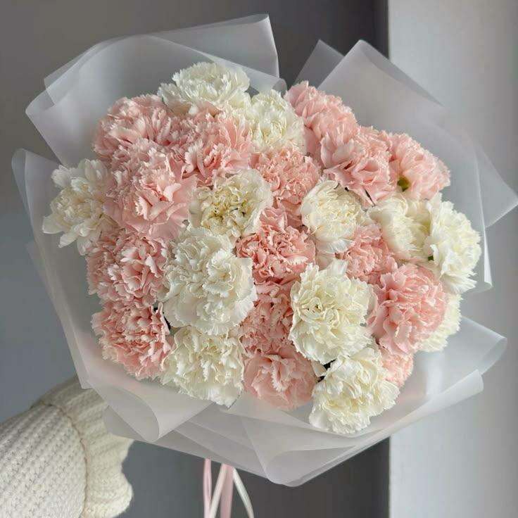 Монобукет из диантусов "Букет для любимой", с пленкой, разноцветный