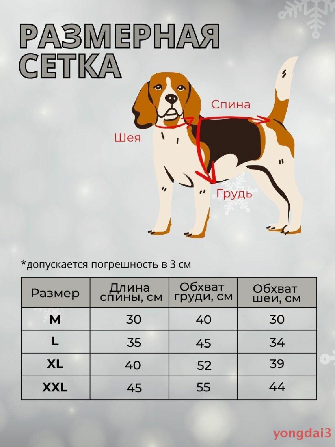 Одежда для животных — фото 1