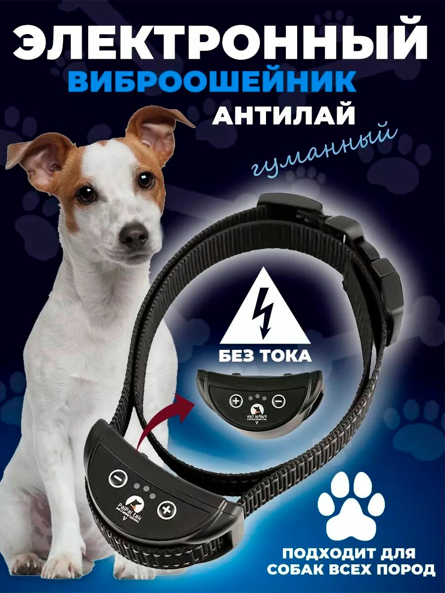 Антилай электронный ошейник