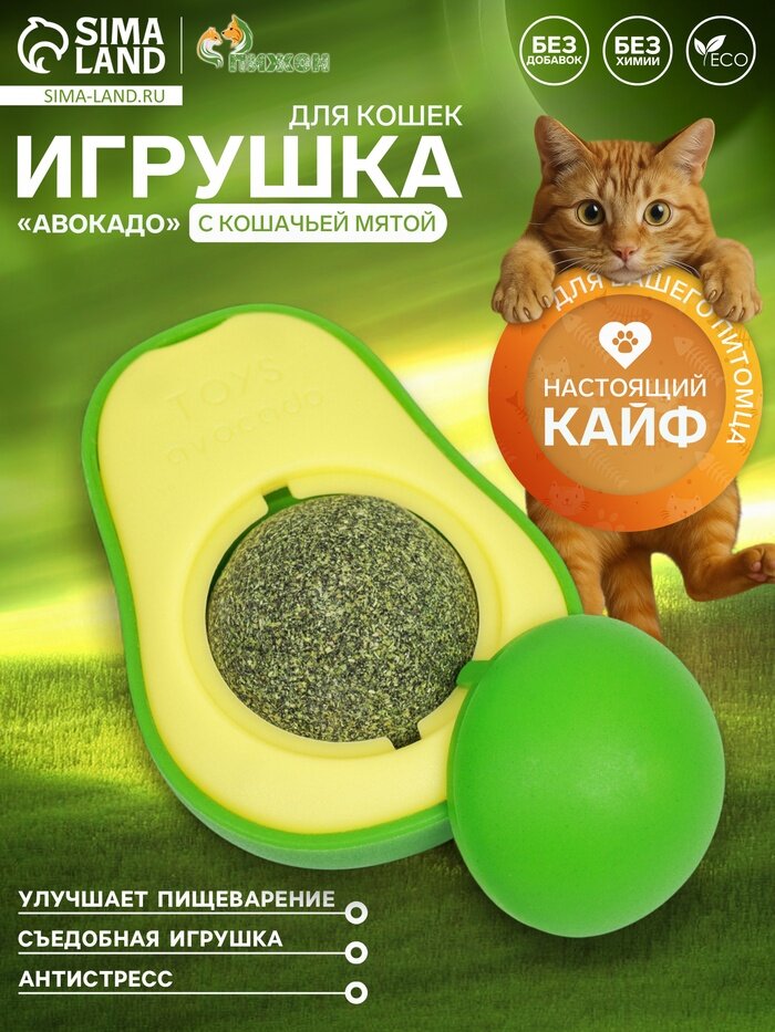 Игрушка для кошек с кошачьей мятой «Авокадо», 6 см, пластик, зелёная