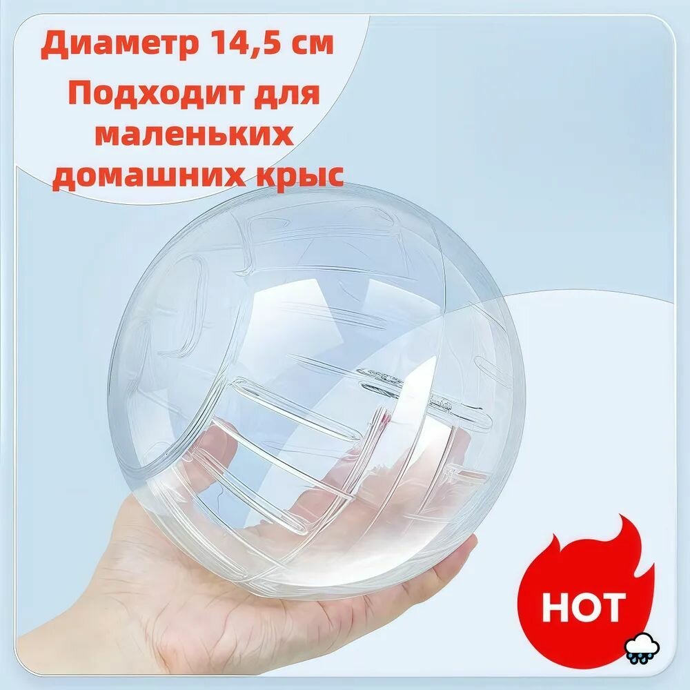 Прогулочный шар для грызунов, шиншилл, морских свинок, крыс, мышей, хомяков,14.5см, прозрачный