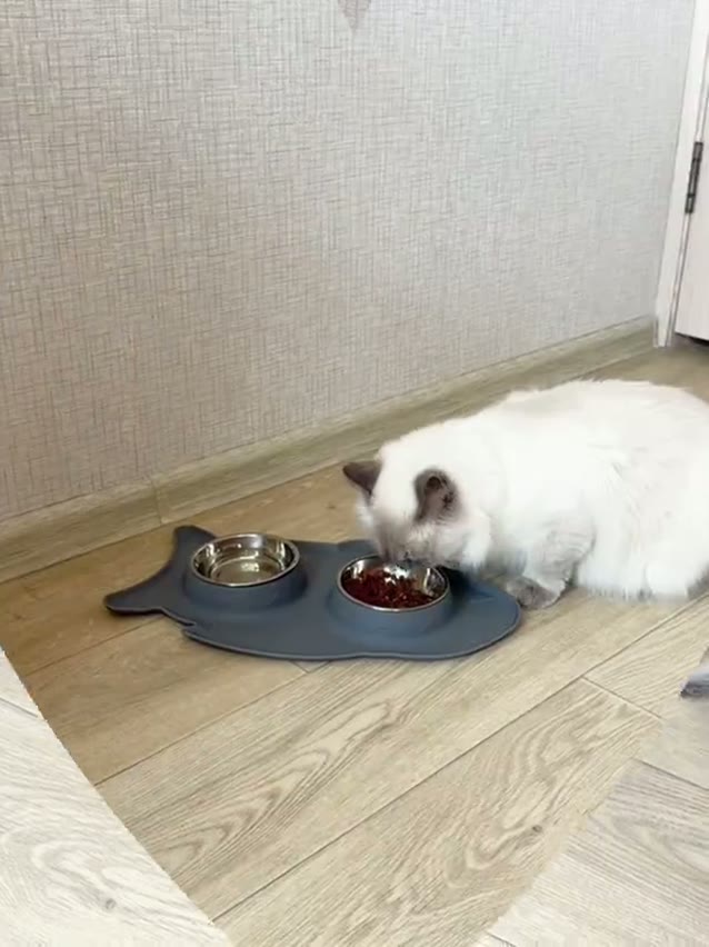 Миски для кошек и котят двойная с подставкой