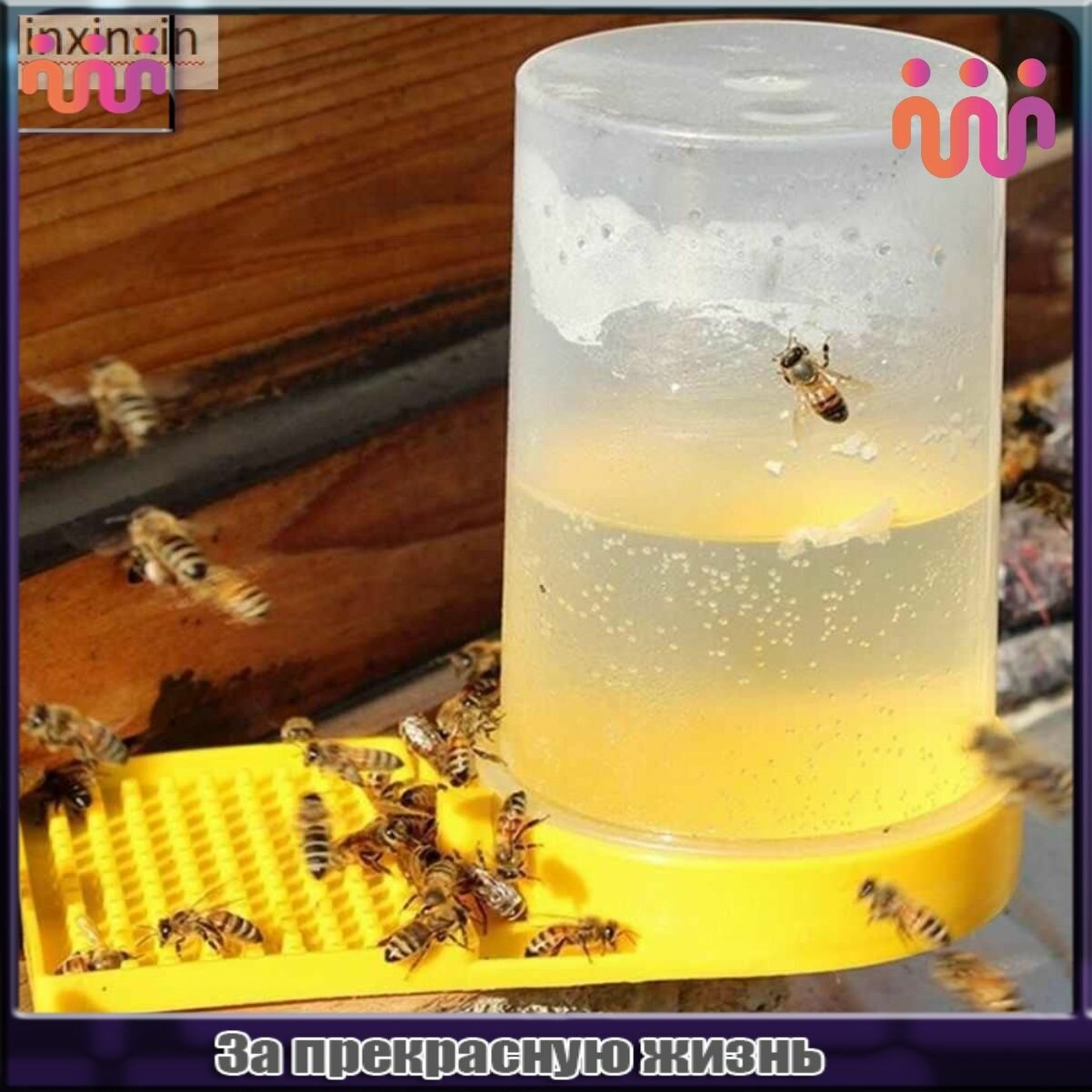 Пластиковая поилка для пчел, пчеловодная кормушка для питьевой воды