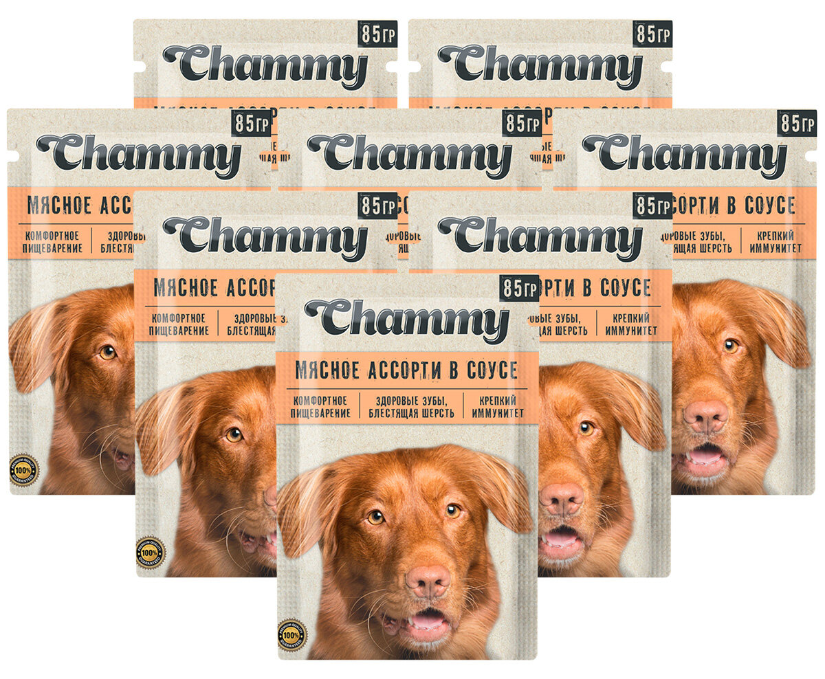 Корм влажный Chammy для взрослых собак, мясное ассорти в соусе, 85 гр х 8 шт