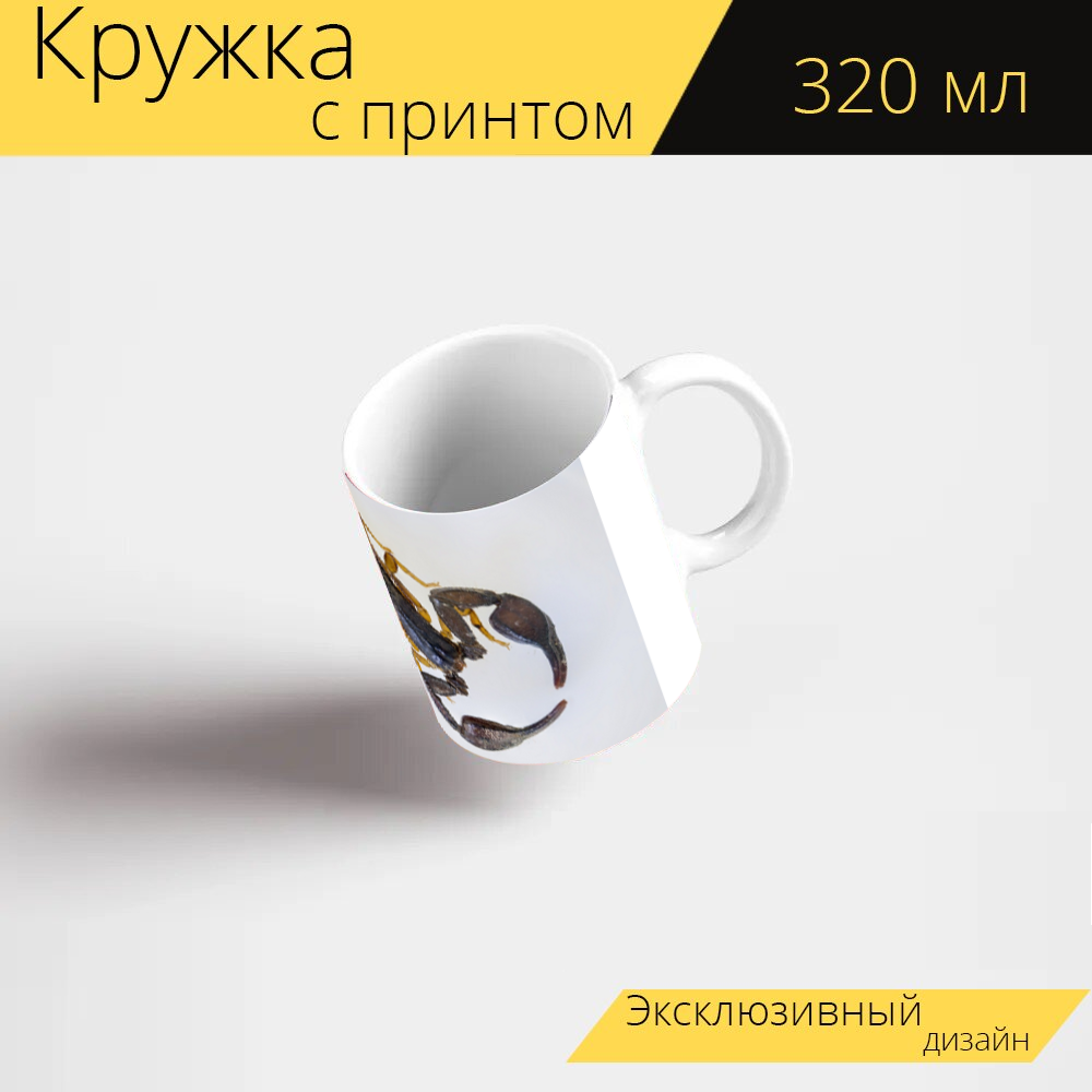 Кружка с рисунком, принтом "Скорпион, черный скорпион, euscorpius flavicaudis" 320 мл.