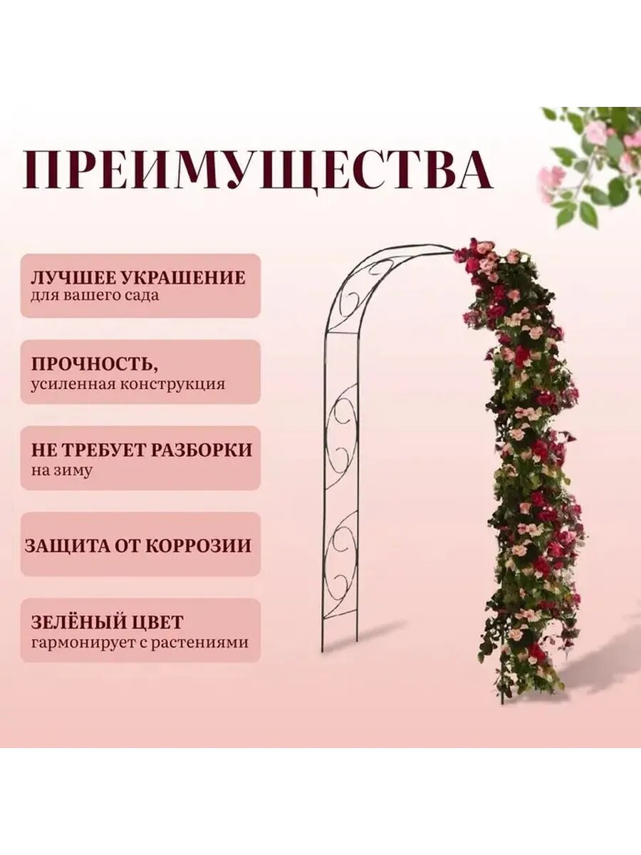 Элегантная садовая арка для вьющихся растений
