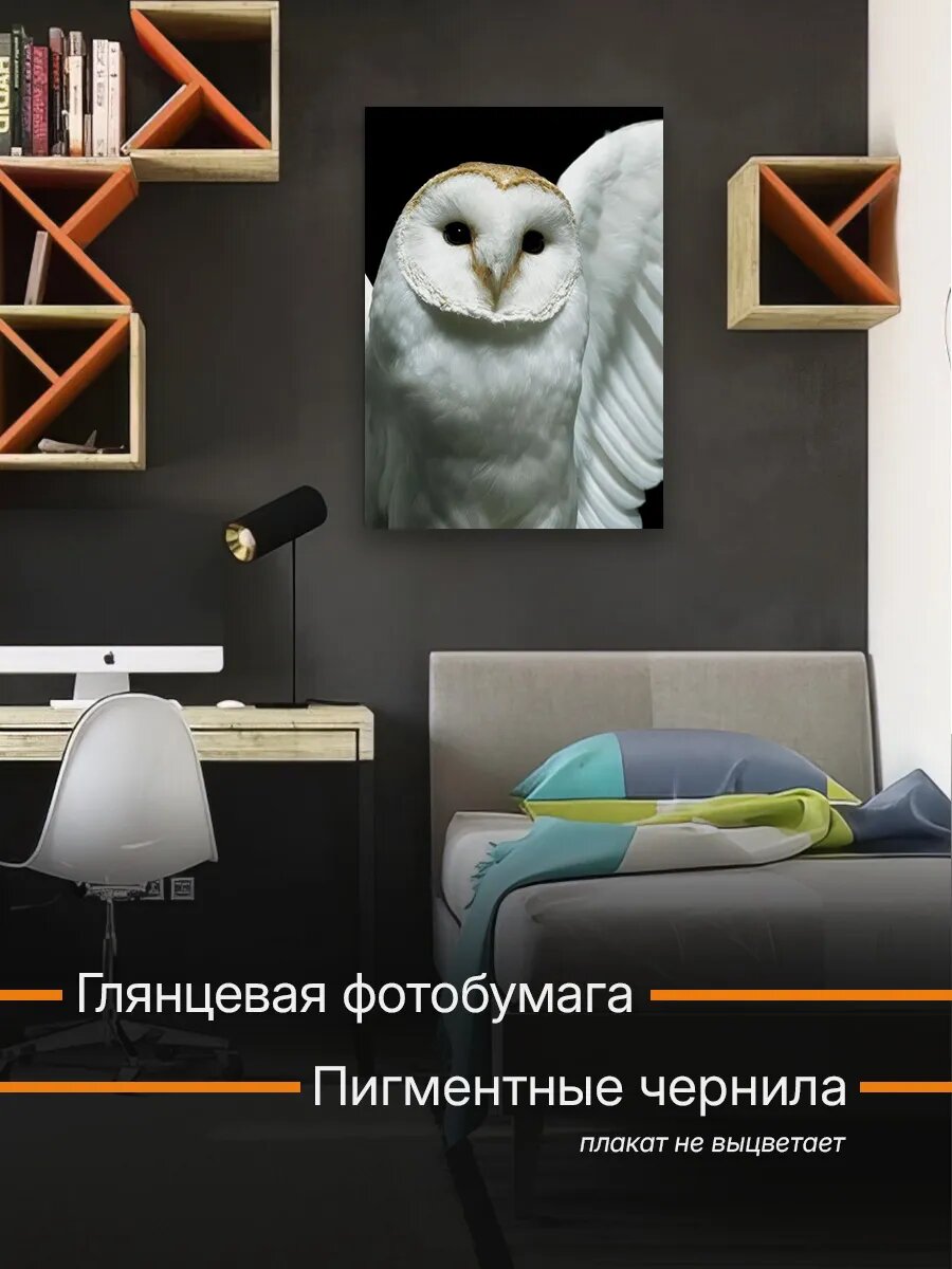 Deftones постер Дэфтоунз — фото 1