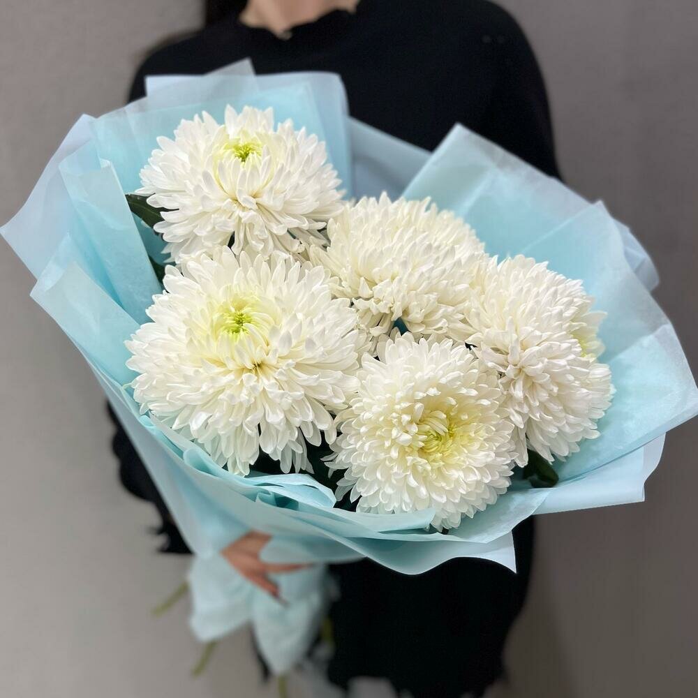Букет из больших хризантем в голубой упаковке - Plaza Flowers