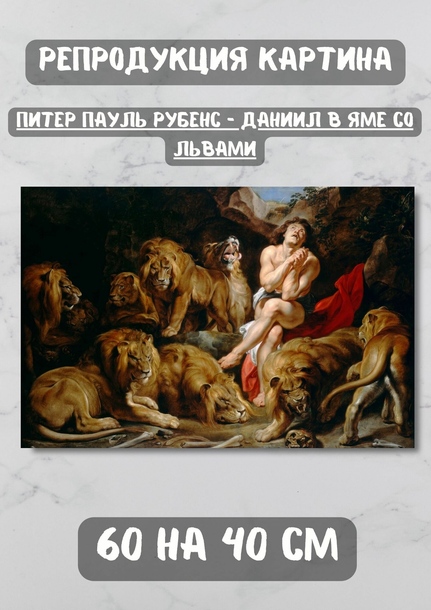 Питер Пауль Рубенс "Даниил в яме со львами". Картина 60х40 для интерьера