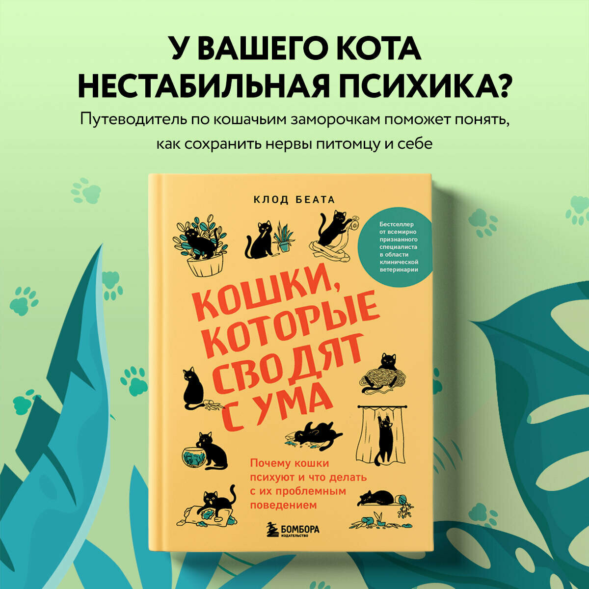 Беата К. Кошки, которые сводят с ума. Почему кошки психуют и что делать с их проблемным поведением