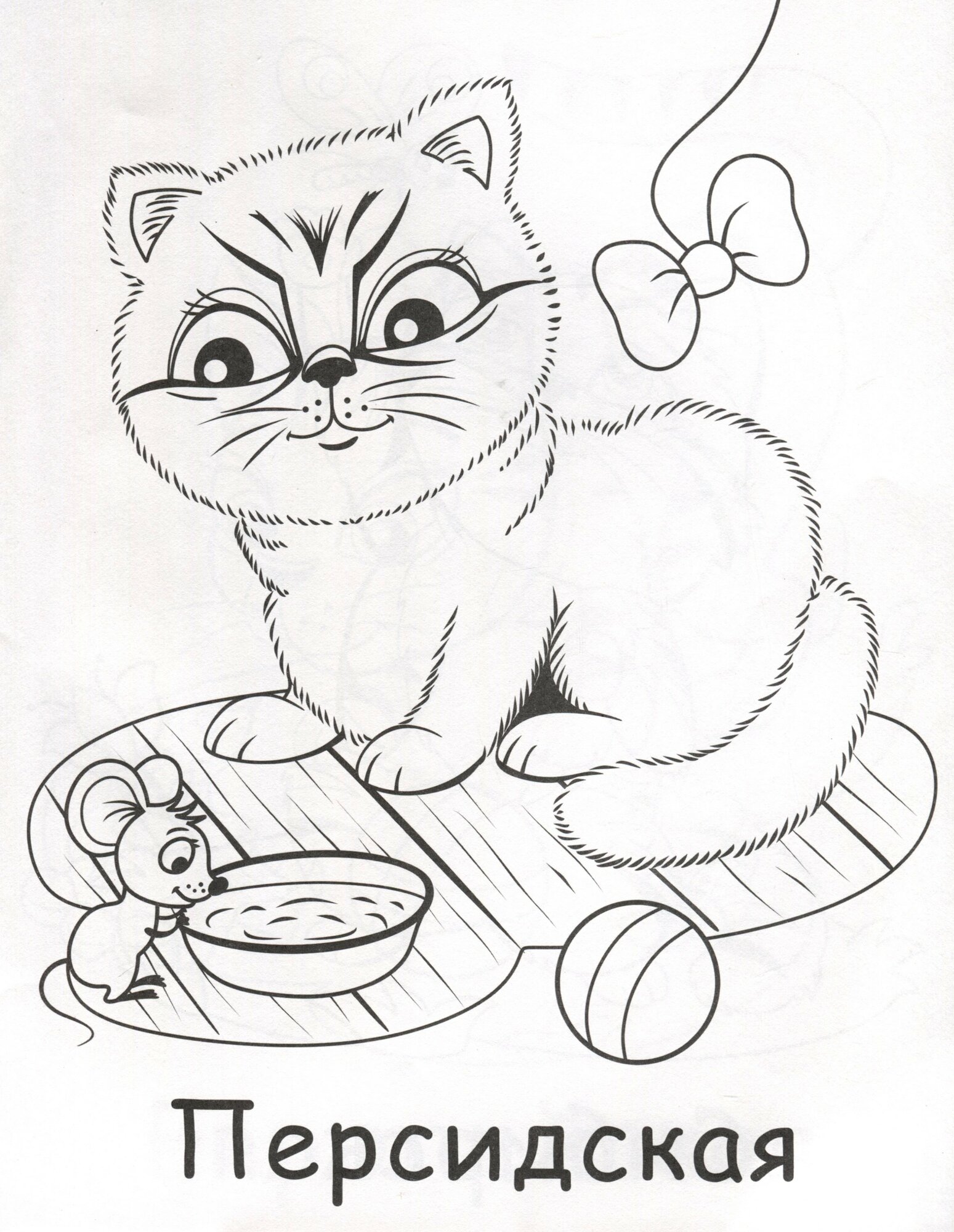 Котики — фото 1