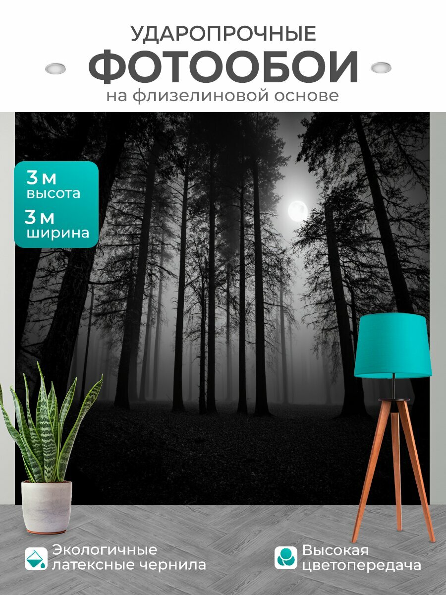 Фотообои моющиеся ударопрочные "Ночь в стиле черно-белый, таинственный лес с высокими деревьями, свет луны проникает сквозь кроны, мягкий туман" 300x300 см. флизелиновые на стену