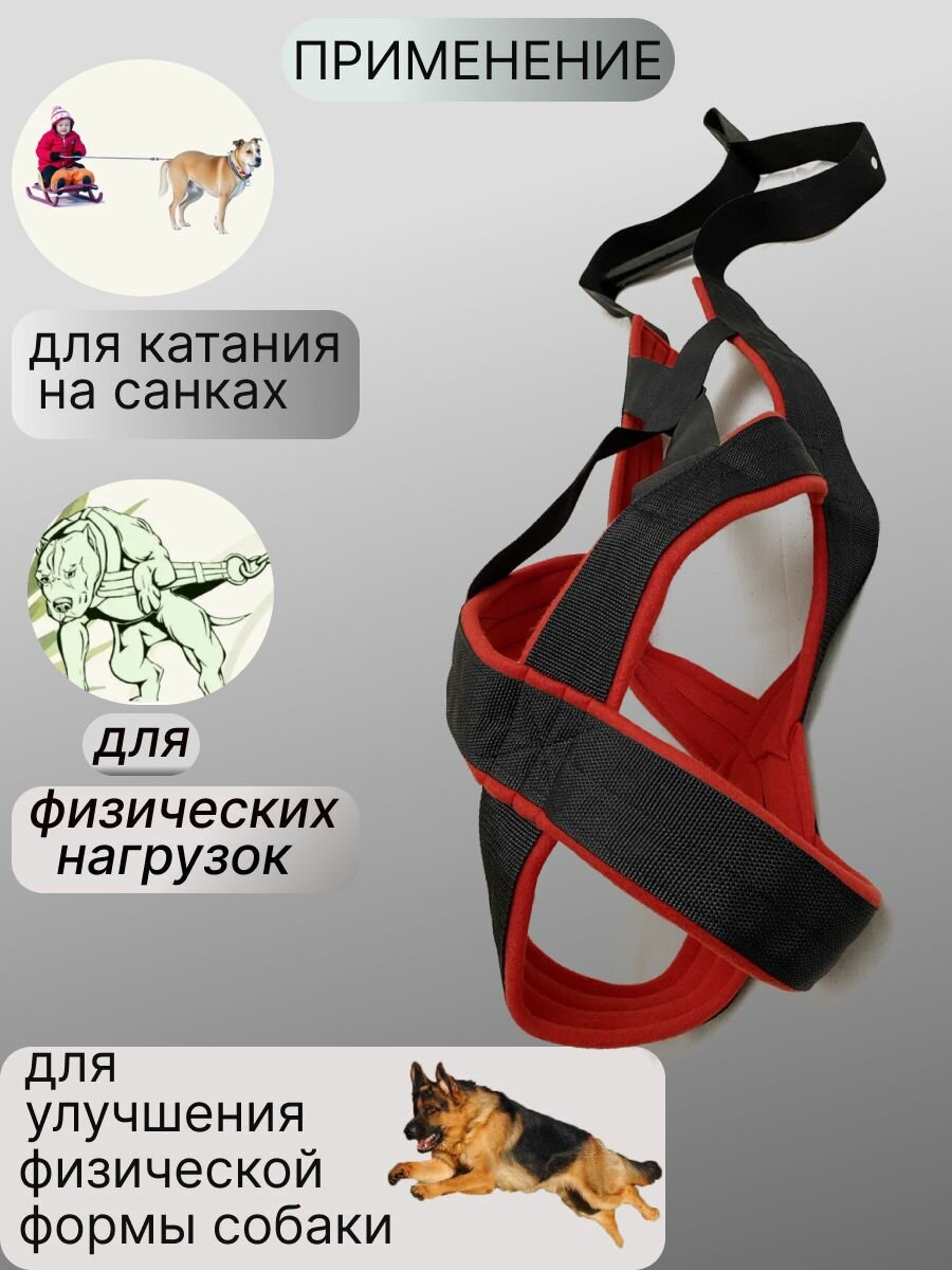 Шлейка для вейтпуллинга — фото 1