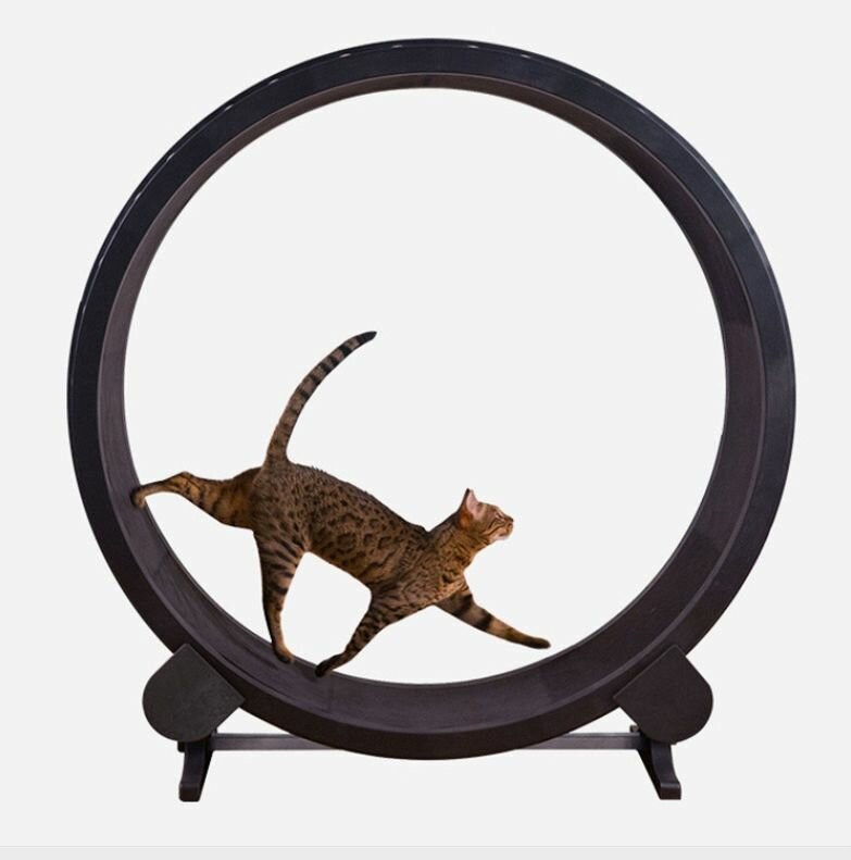Беговое колесо для животных 118 CM , Коты ползают, маленькие игрушки, фитнес для домашних животных