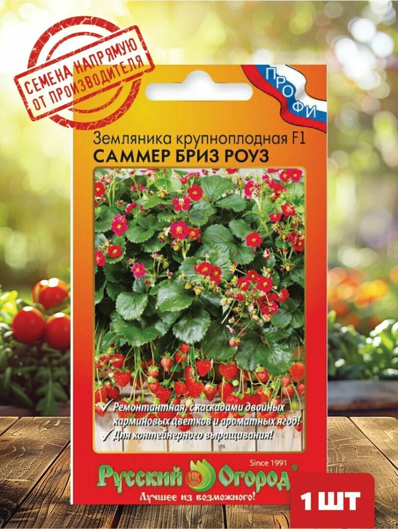 Семена Земляника F1 Саммер Бриз Роуз