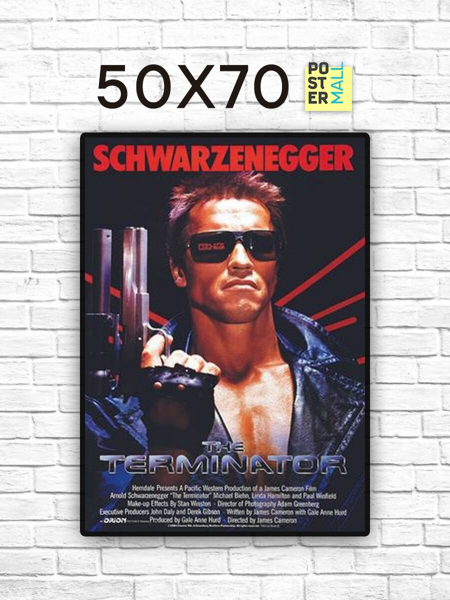 Постер для интерьера на стену (50х70 см). Кино Терминатор, Шварценеггер (Terminator)
