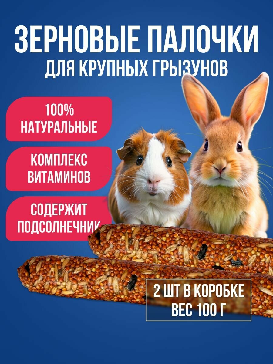 Лакомство для крыс и хомяков 100г, 2шт / Зерновые палочки с подсолнечником для крупных грызунов