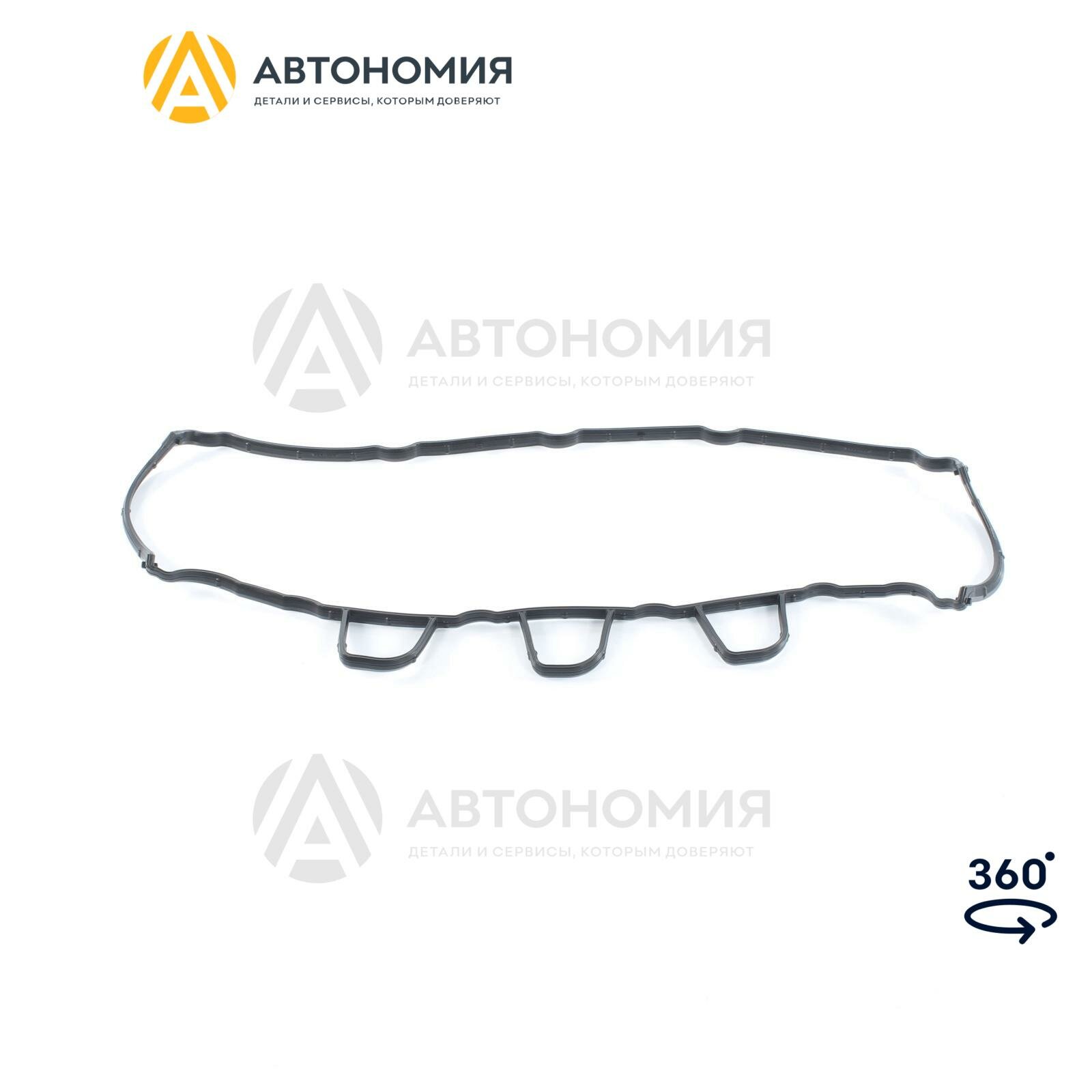Прокладка клапанной крышки Renault 77 01 070 607