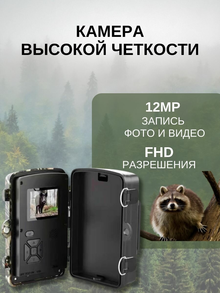 Тропическая камера для наблюдения за животными – Full HD 1080P, ИК-подсветка 20 м, водонепроницаемая — фото 1