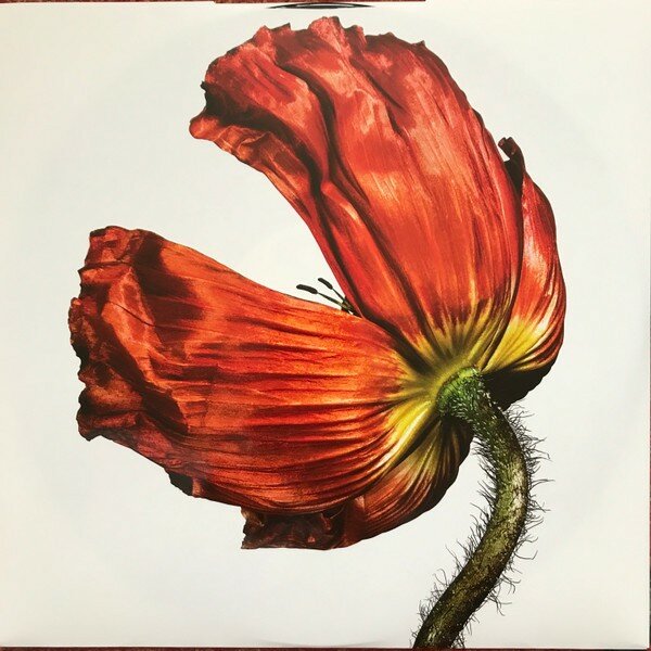 Pet Shop Boys - Release (LP)