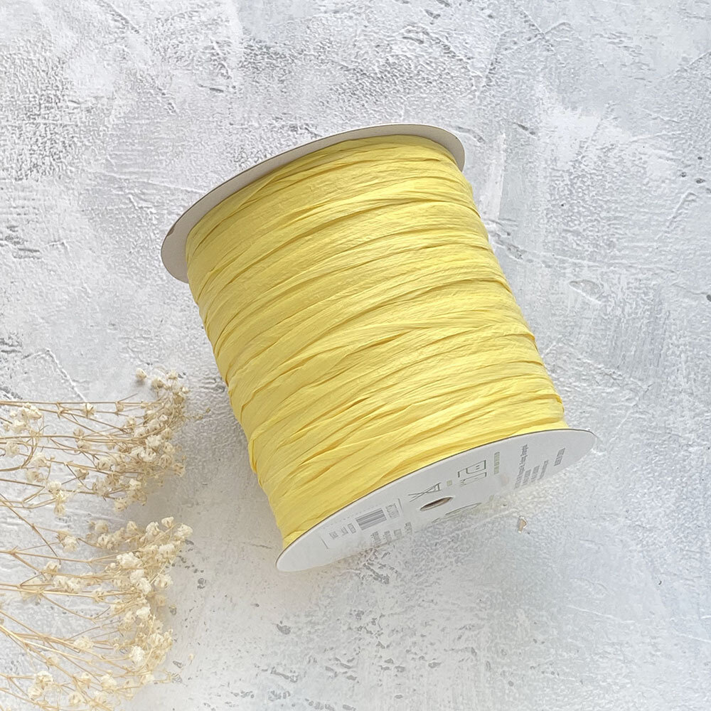 Пряжа Рафия Ispie Xanthic 749650 2 мотка